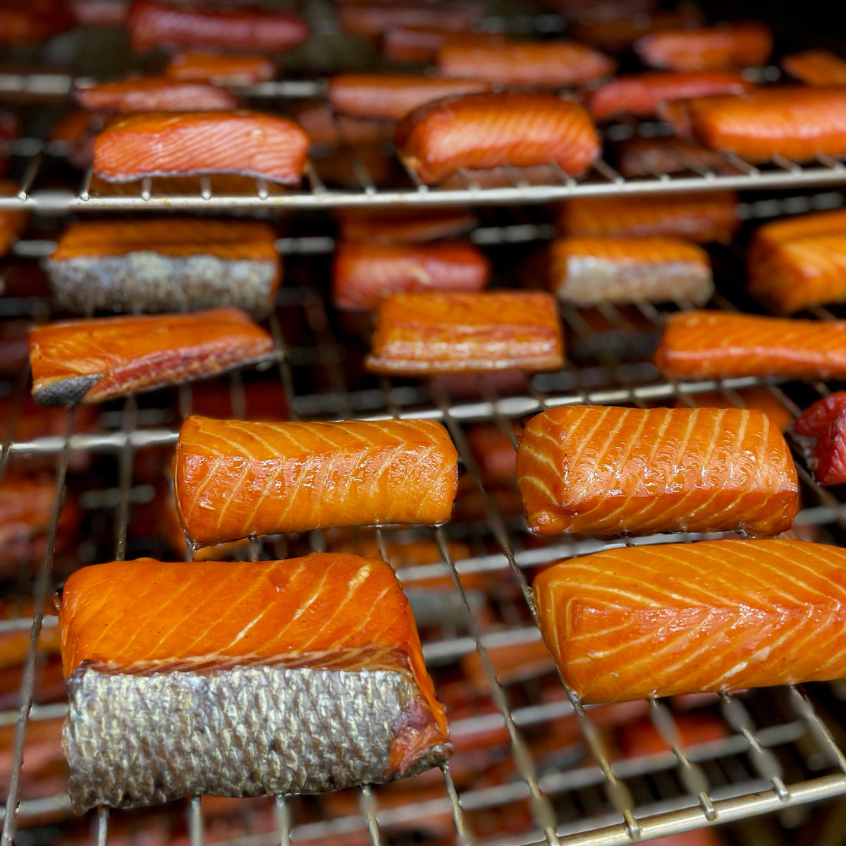 Connect | Wildfish Cannery