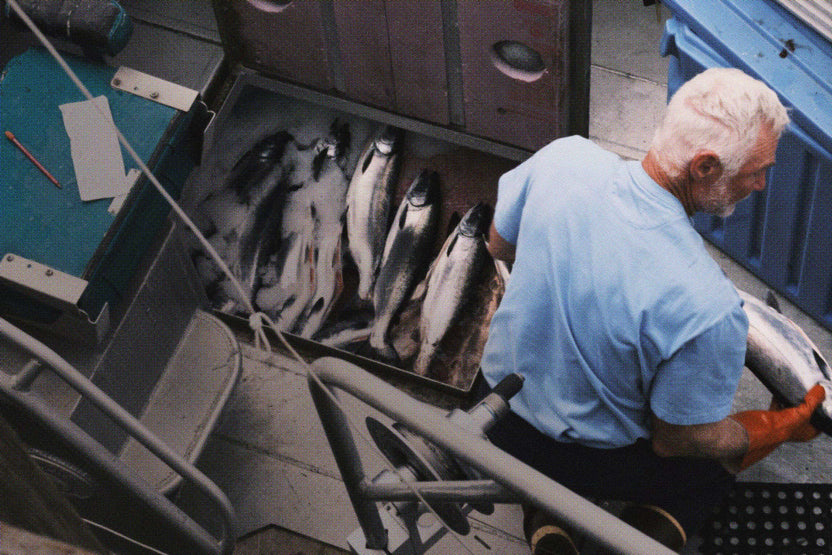 Sourcing & Traceability – Wildfish Cannery